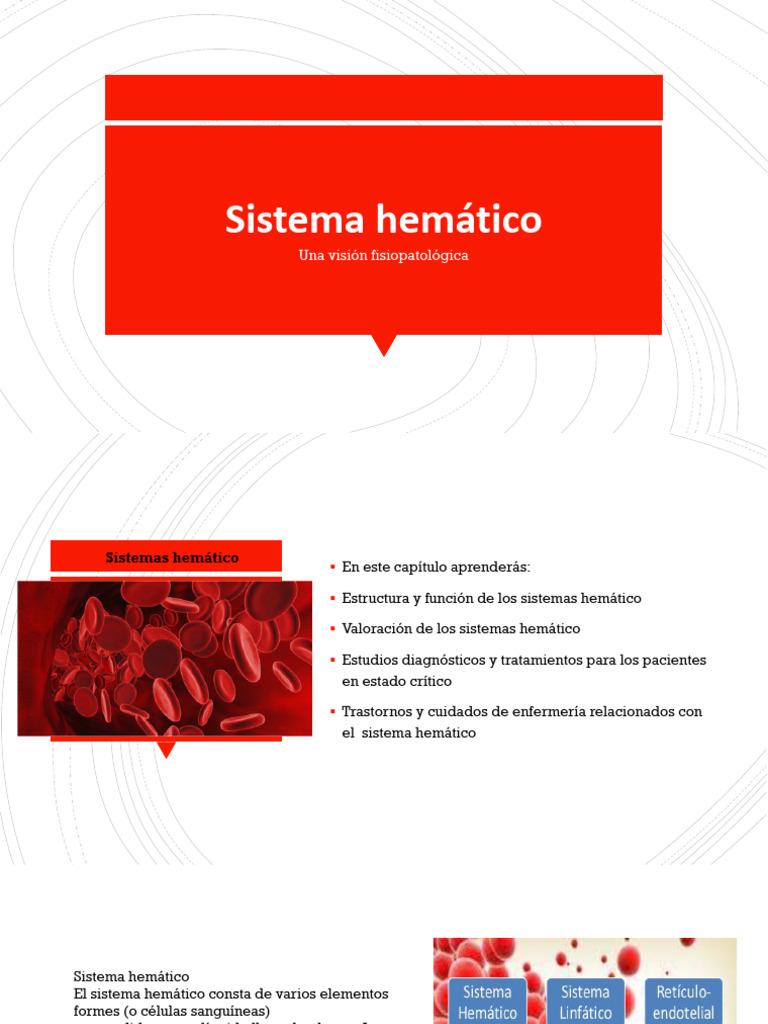 Sistema Hemático | PDF