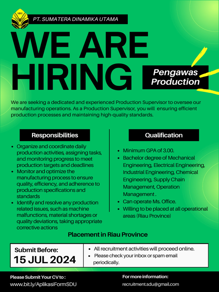 Job Description 15 July 2024 | PDF