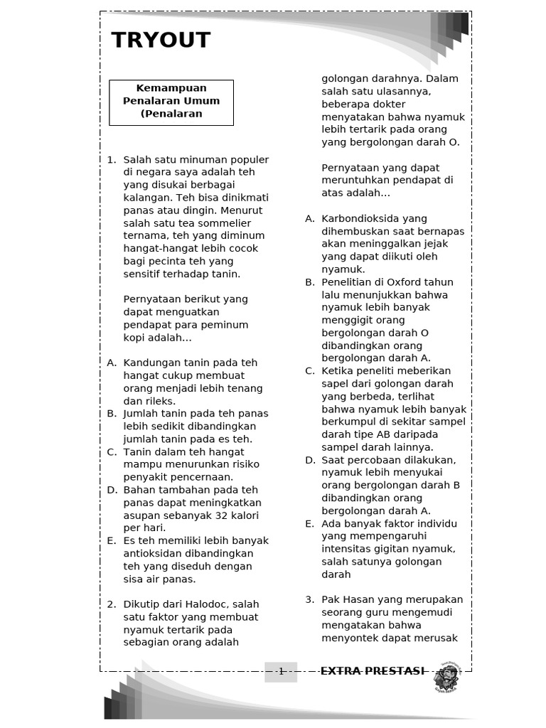 Literasi Dalam Bahasa Indonesia Dan Bahasa Inggris | PDF