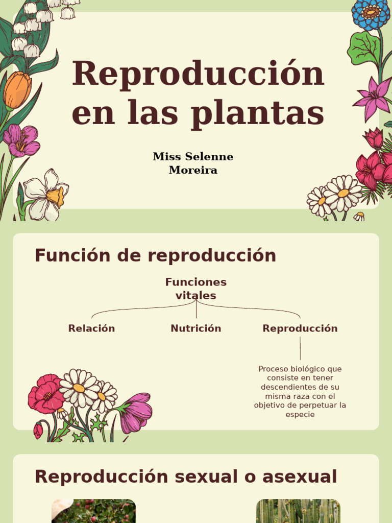 Reproducción de Las Plantas | PDF