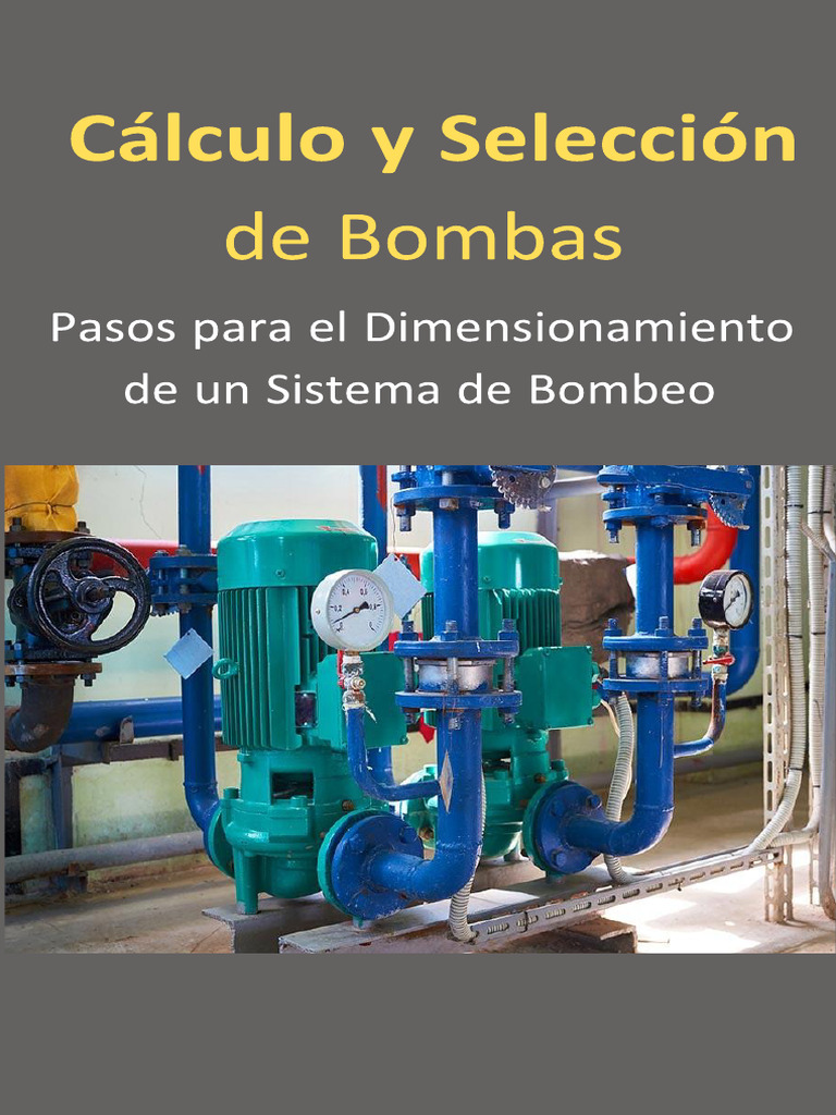 Calculo para La Selección de Bombas | PDF