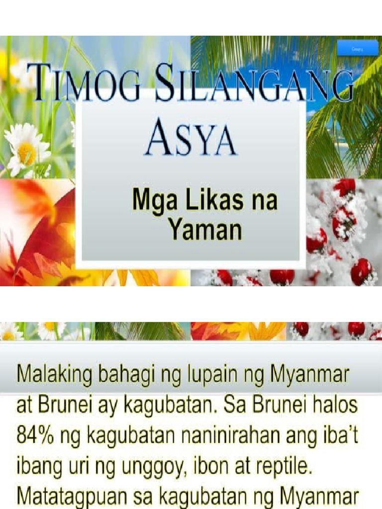 Likas Na Yaman NG Timog Silangan Asya | PDF
