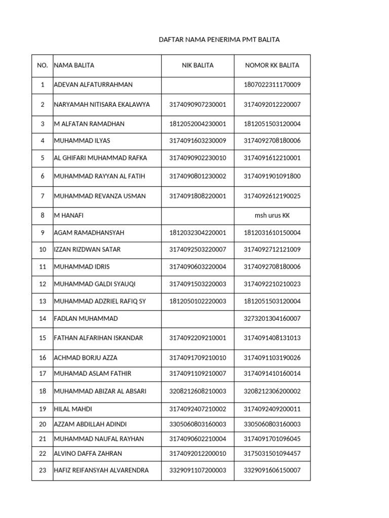 Format Data Balikan P3ke PMT Balita Dan Lansia 2024 - Kel. Tanjung Barat | PDF