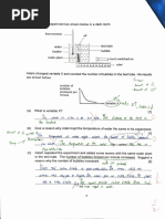 PSLE Standard Maths 2024 Paper 2 | PDF