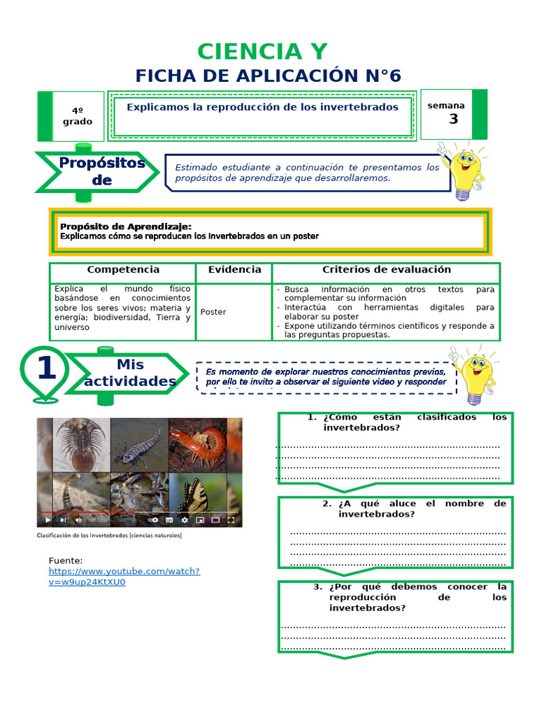 4° Ficha de Aplicación-Sesión 6-Sem3-Exp.5-Cyt | PDF