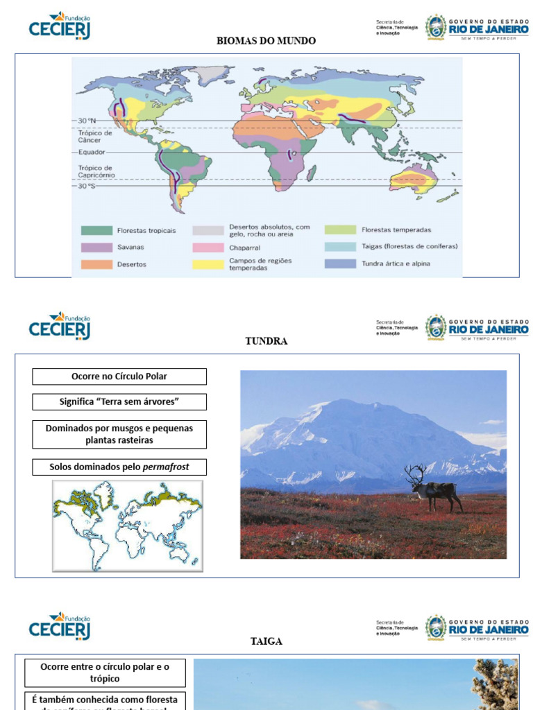 Biomas do Mundo | PDF