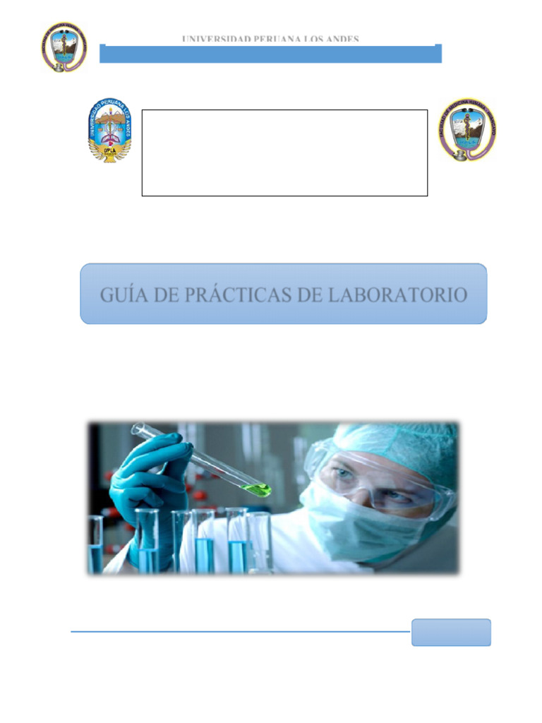 Guia de Practica N°1 | PDF
