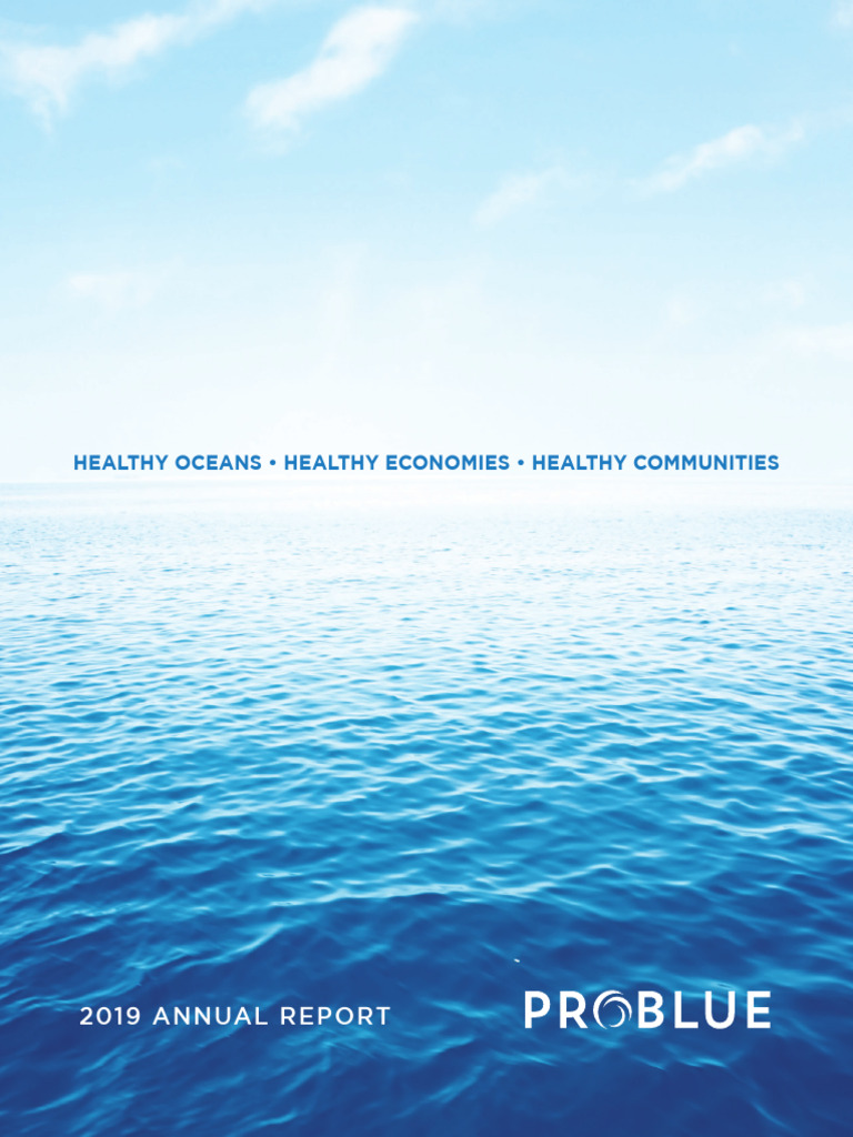 2019 Annual Report | PDF