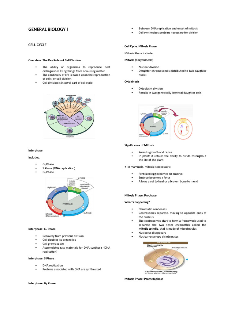 GenBio Cell Cycle | PDF