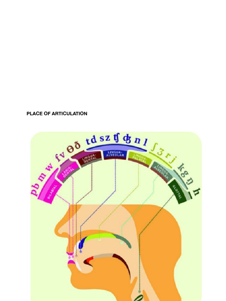 Place of Articulation Worksheet | PDF