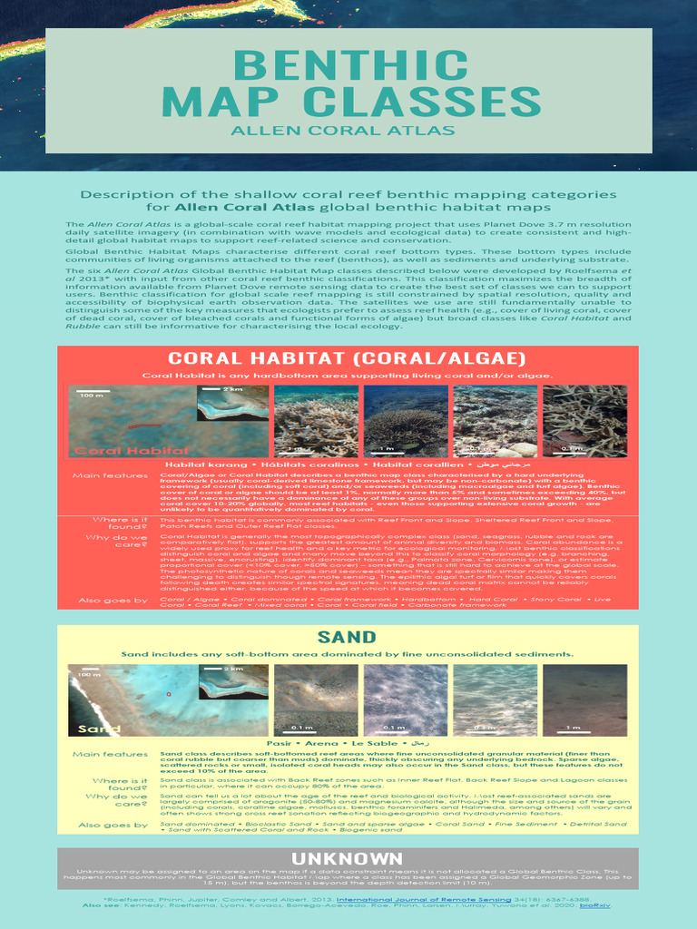 Class Descriptions Benthic Maps v3 | PDF