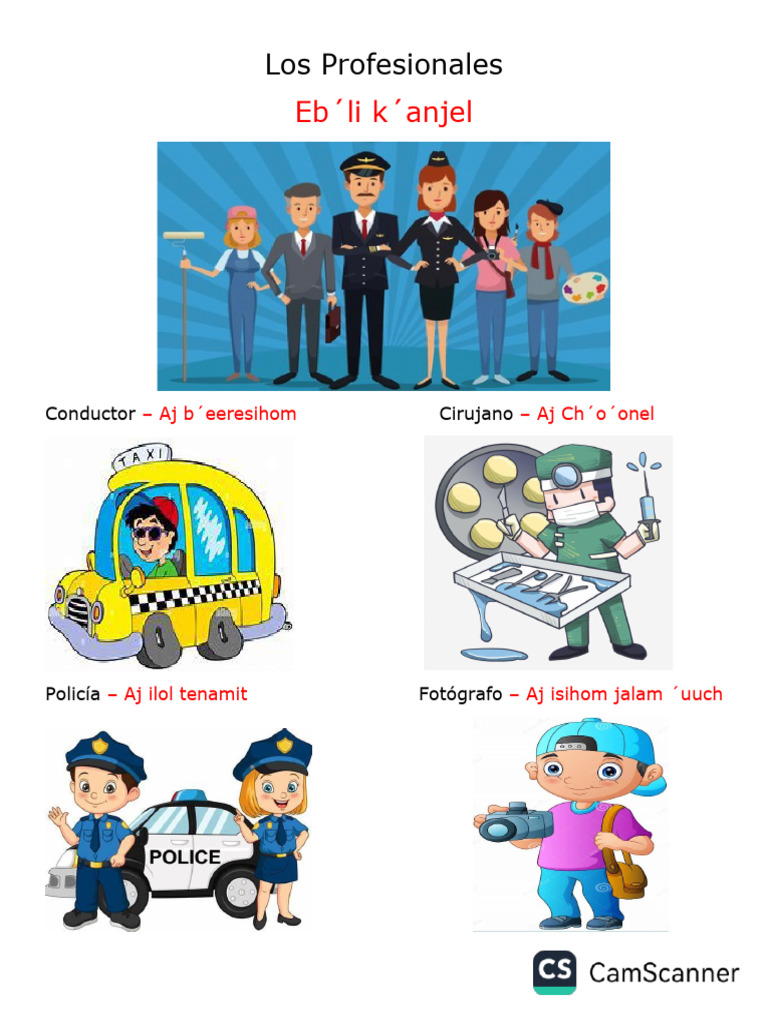 Las Profesiones | PDF