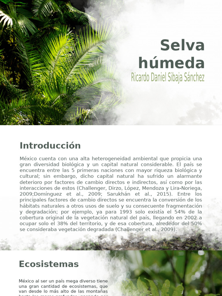 Selva Humeda | PDF