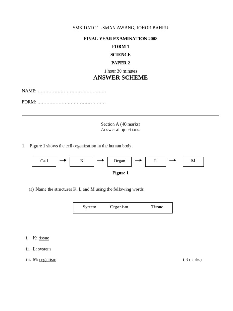 Answer Scheme Science p2 Final-Nurul | PDF
