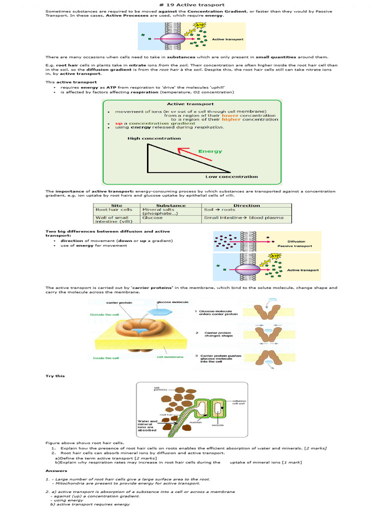 Active Transport - Biology Notes For IGCSE 2014 | PDF