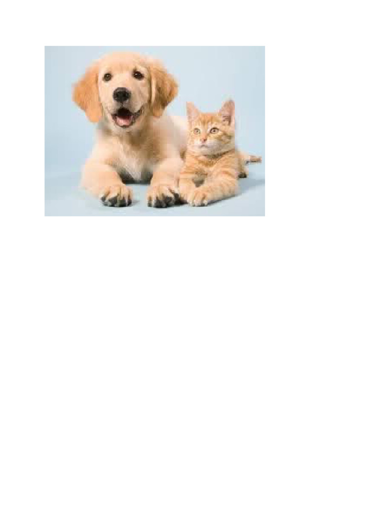 Pet 5 | PDF