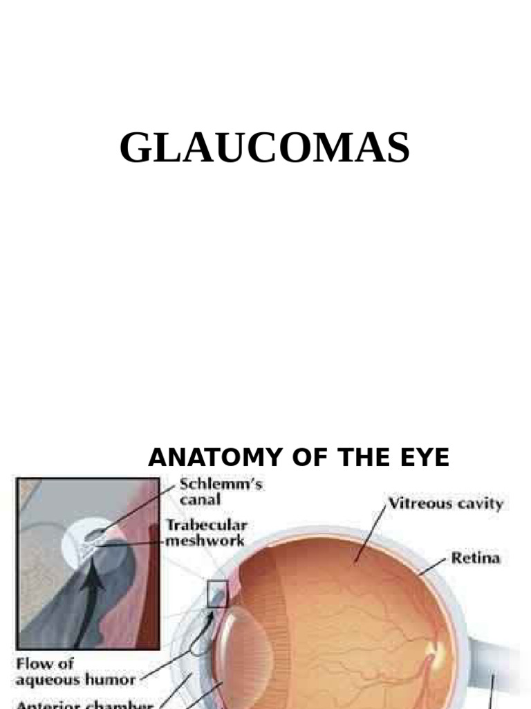 Glaucoma 1 | PDF