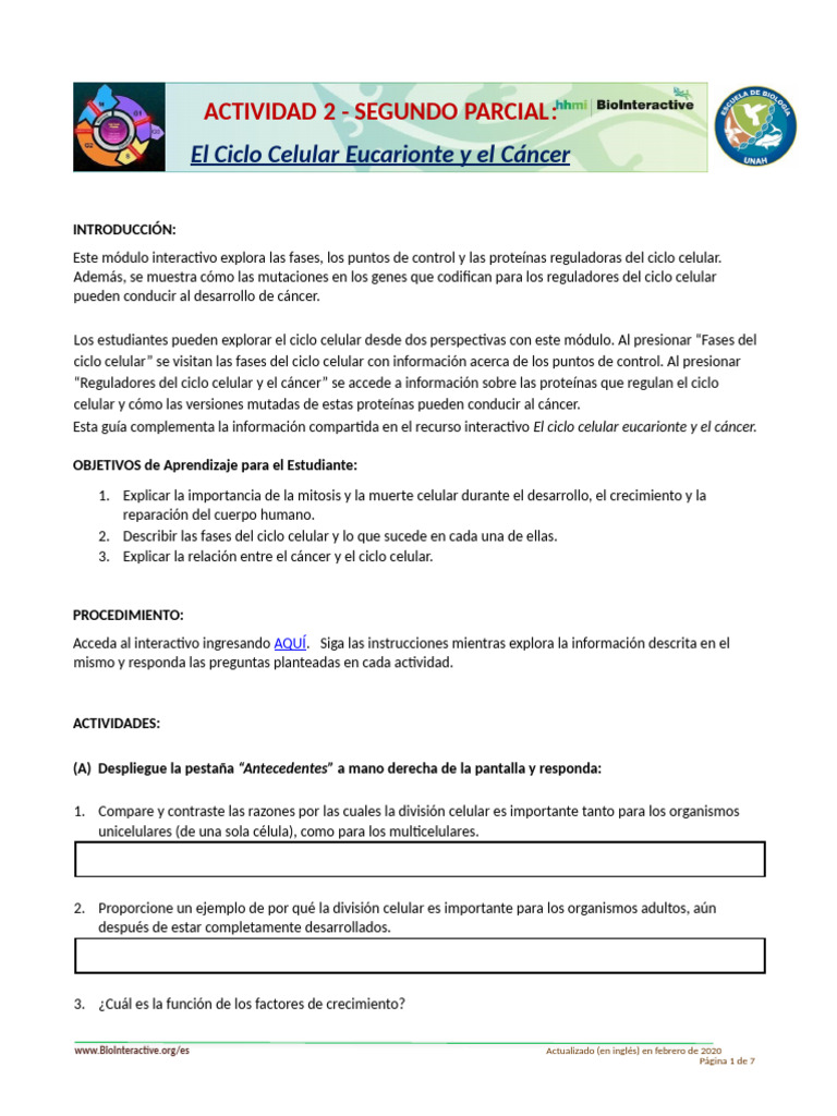 El Ciclo Celular Eucarionte y El Cáncer - Hoja de Trabajo para El ...