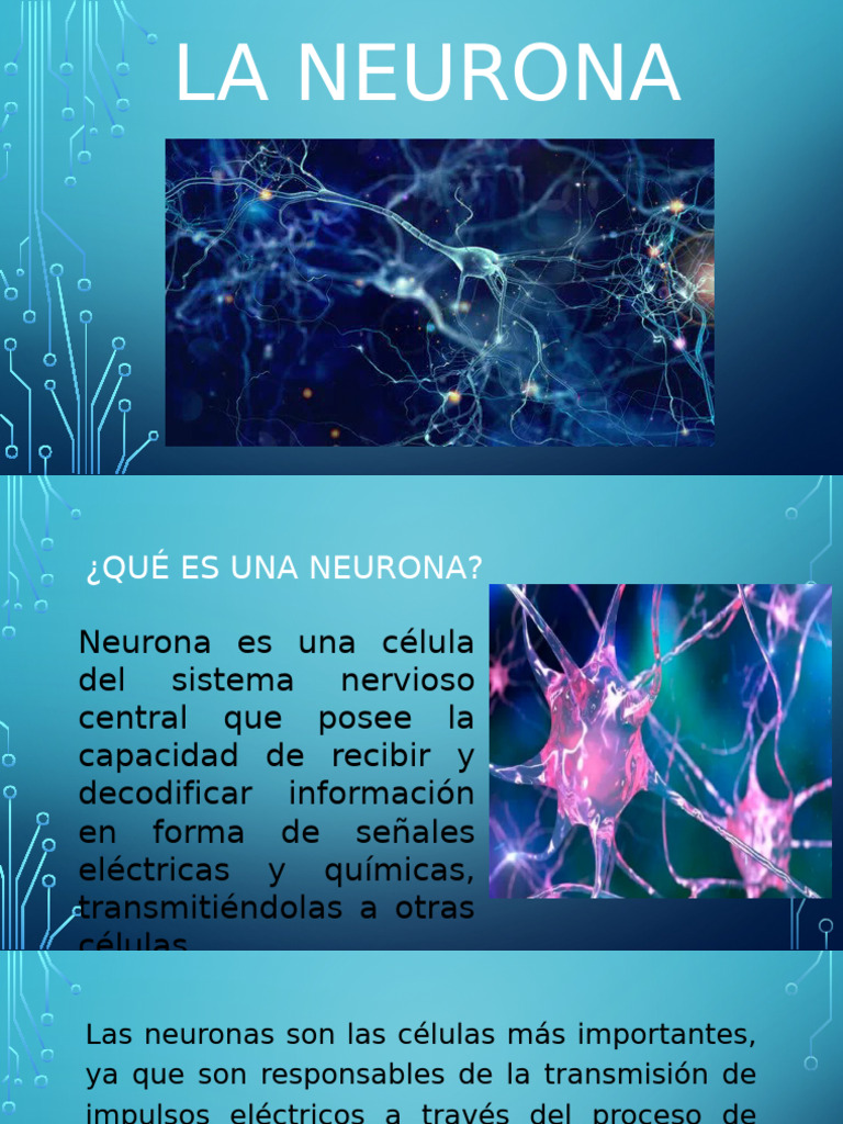 La Neurona | PDF