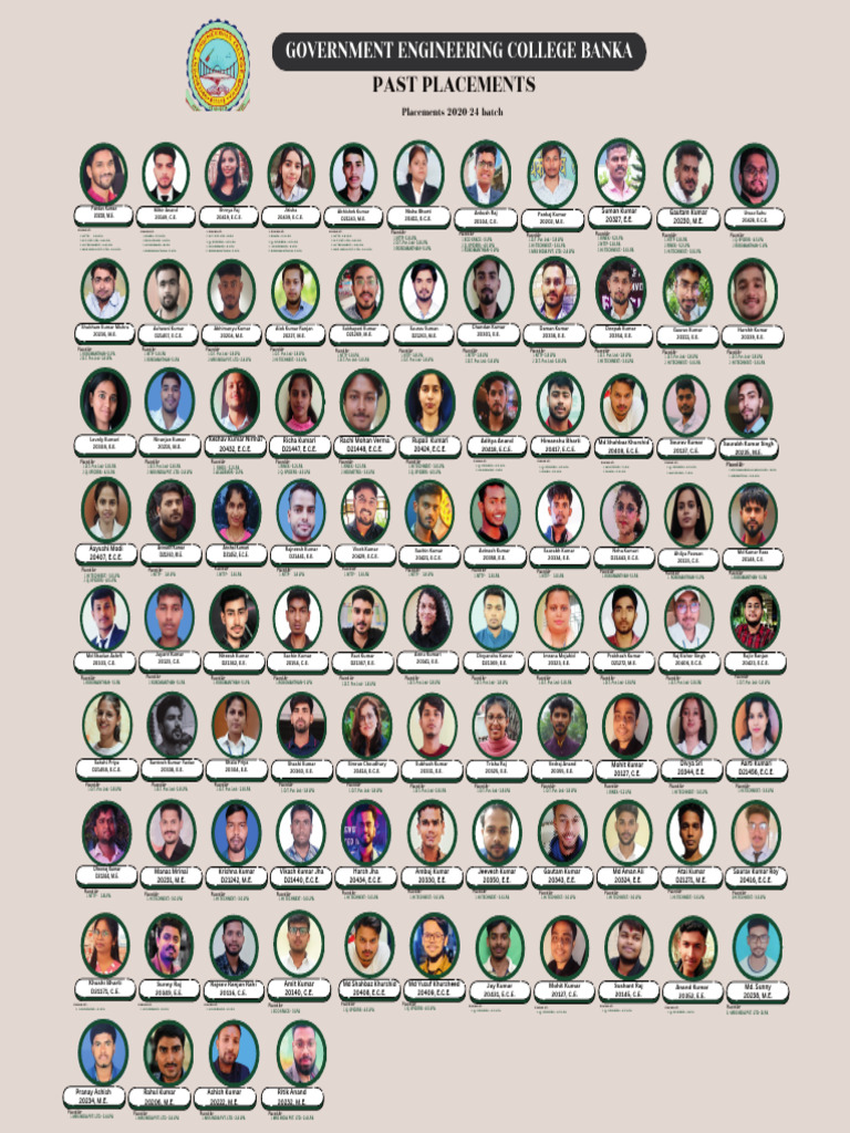 Placement Poster 2020-24 | PDF