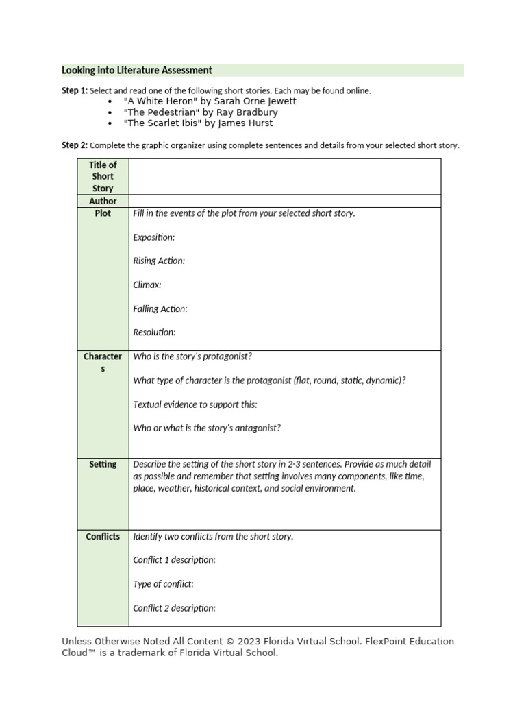 Looking Into Literature Assessment | PDF