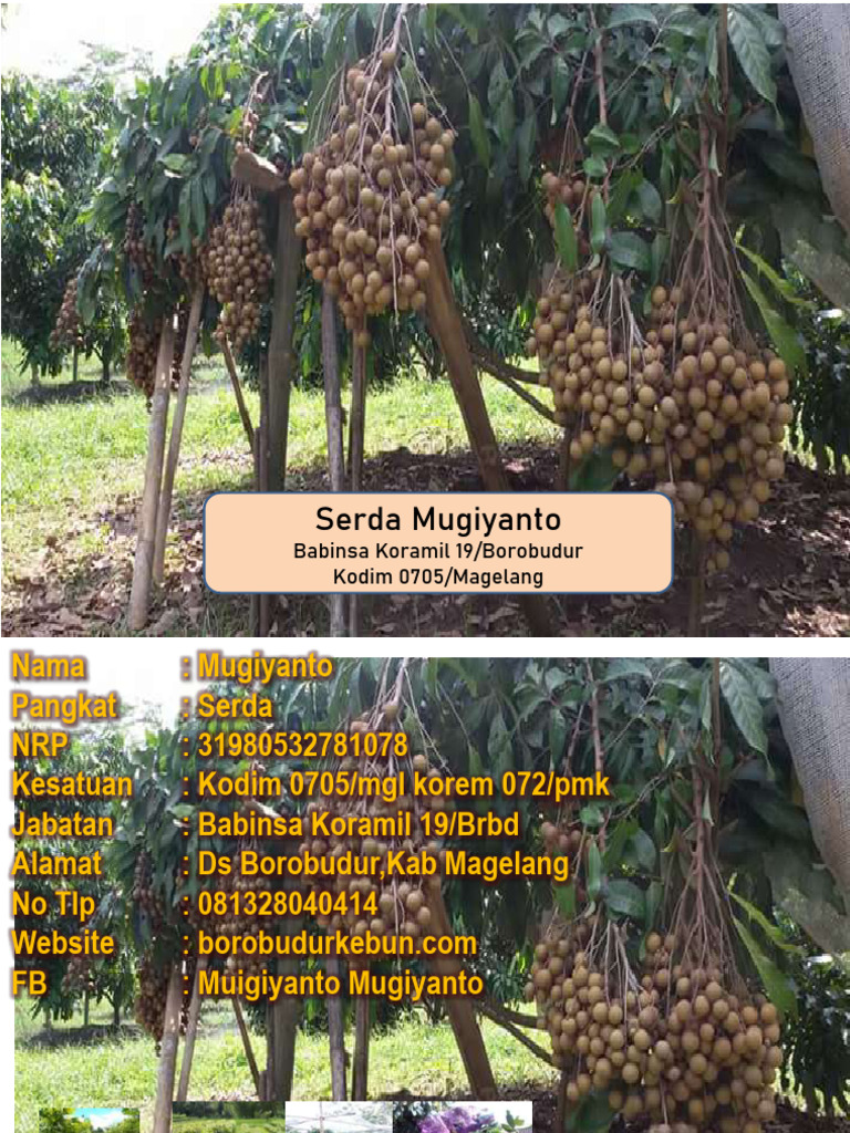 KELENKENG MUGI 2021 HORTI (Mugiyanto) | PDF