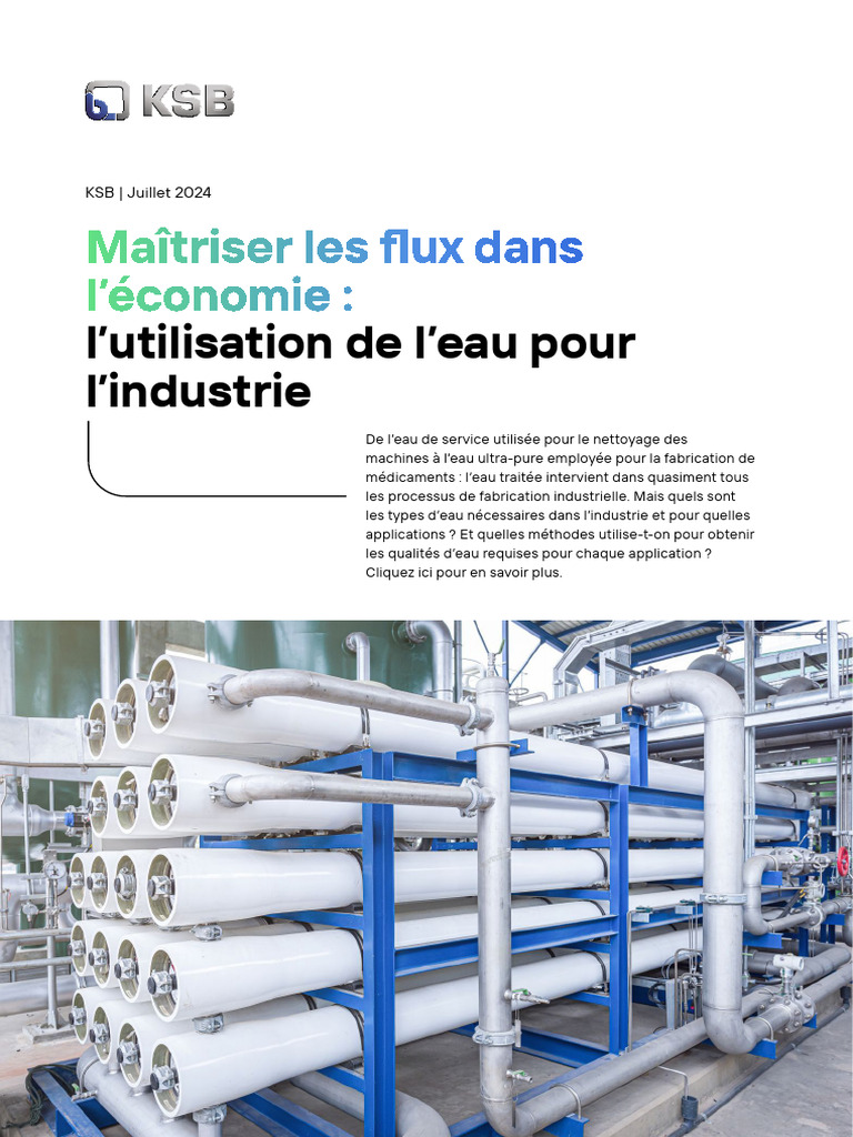 Livre Blanc Sur Le Traitement Des Eaux Industrielles | PDF