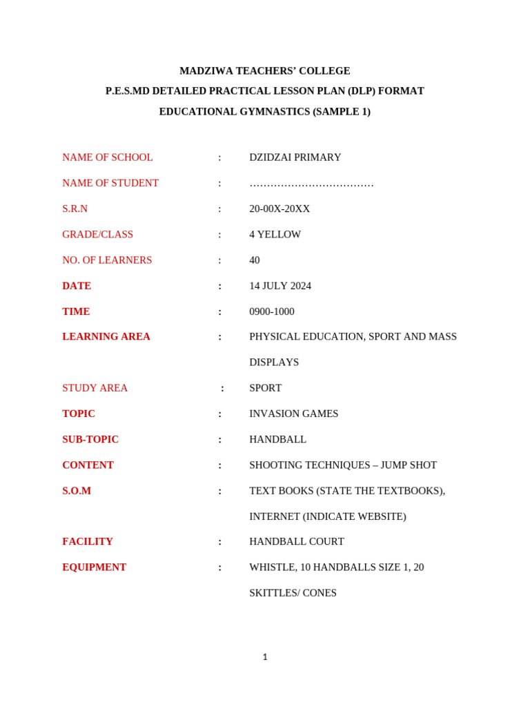 Pesmd Practical DLP Sample | PDF