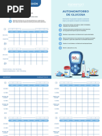 Plantilla Control Diario de Glucosa | PDF