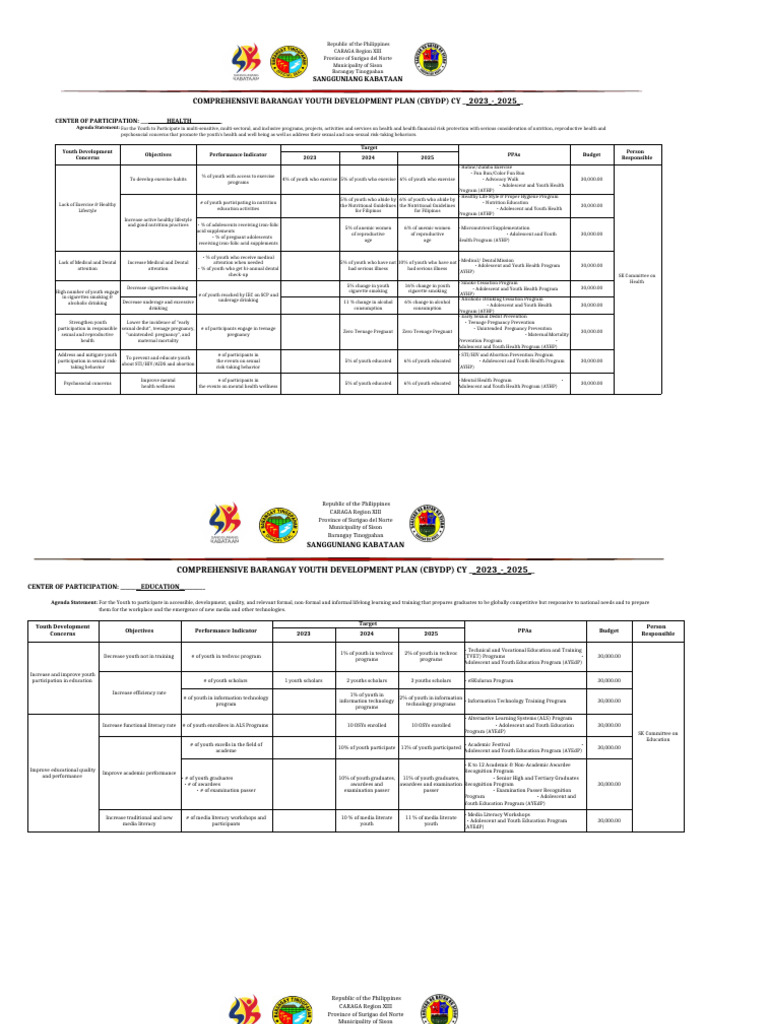 Comprehensive Youth Development Plan 2023-2025 | PDF | Teenage ...