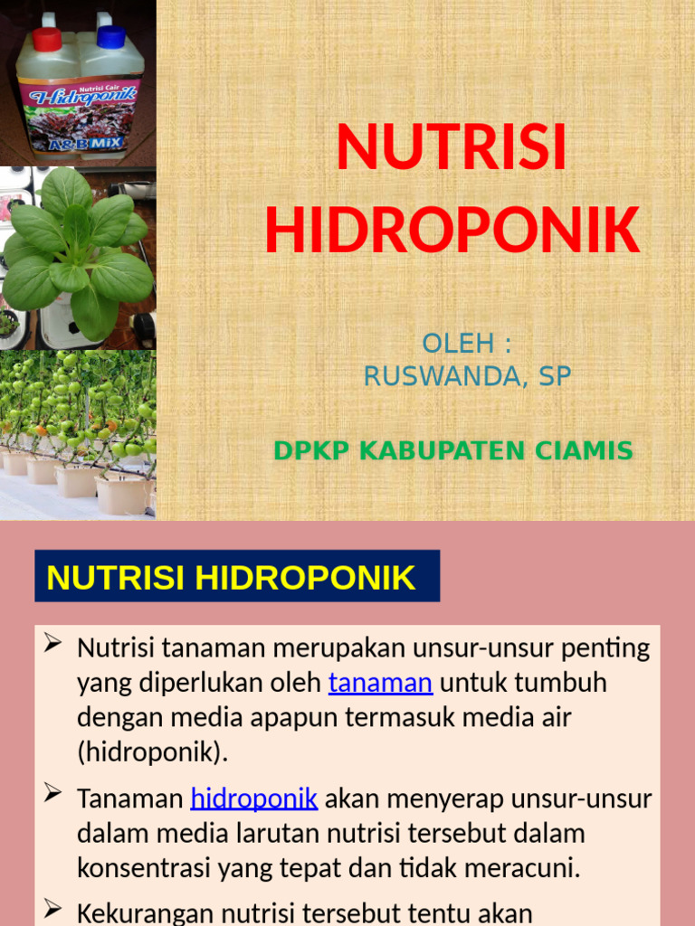 Nutrisi Hidroponik | PDF