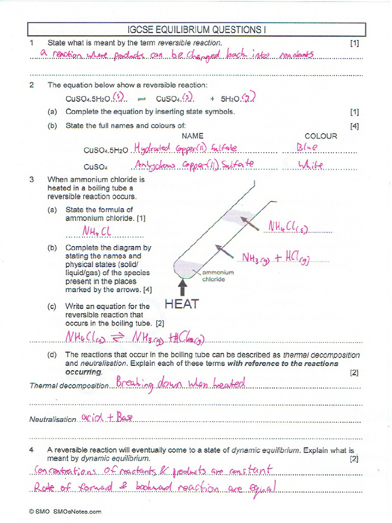 equilibrium answers | PDF