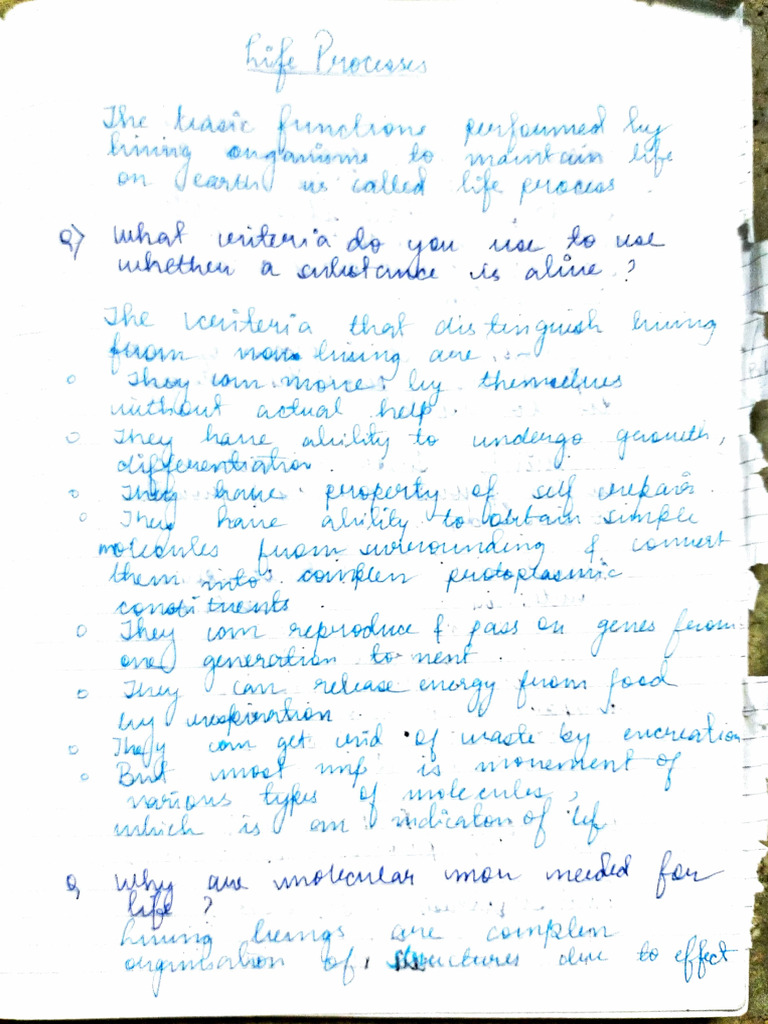 Ishan Das Roll No.3 | PDF