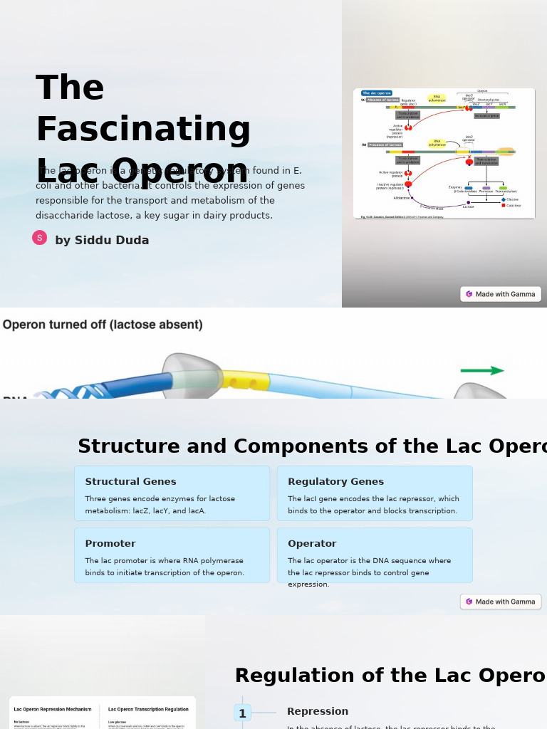 The Fascinating Lac Operon | PDF