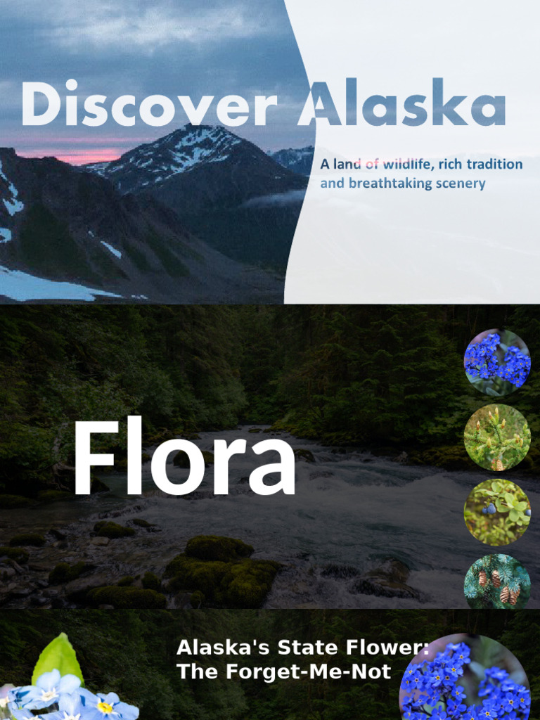 Alaska | PDF