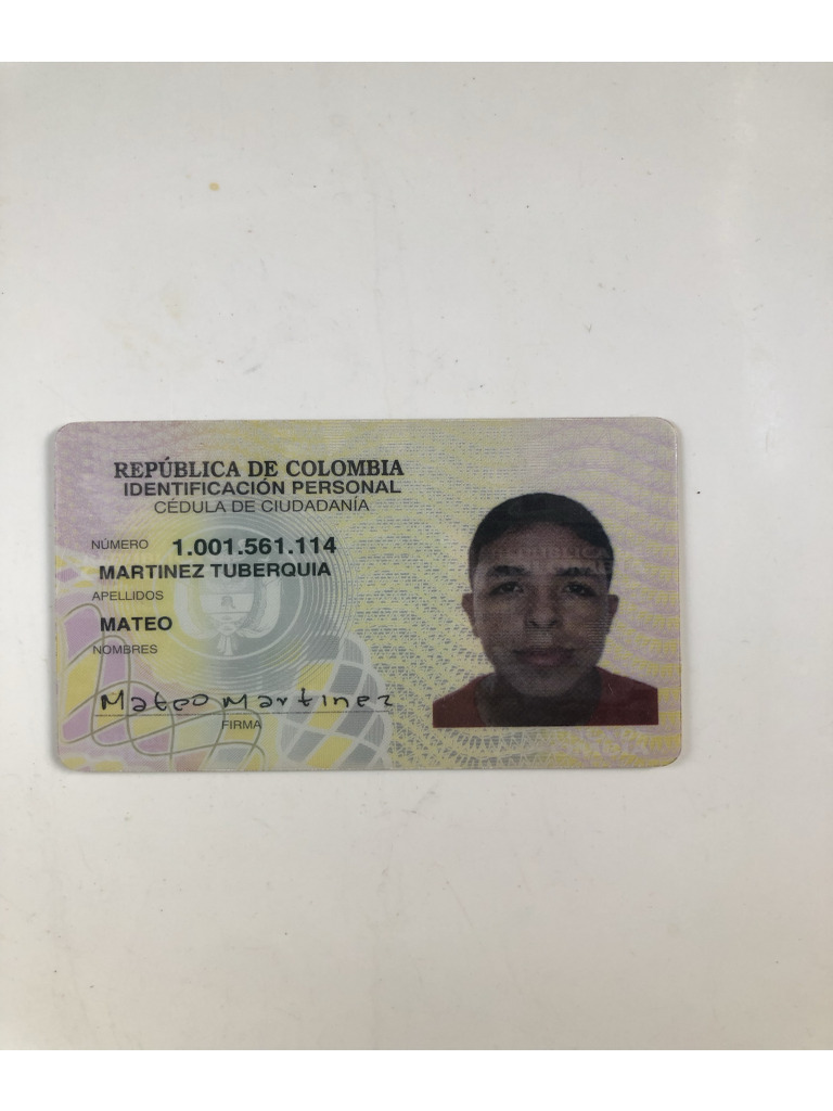 Documento | PDF