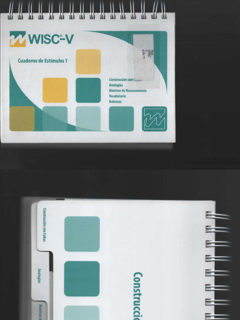 Construcción de Cubos Wisc - V | PDF