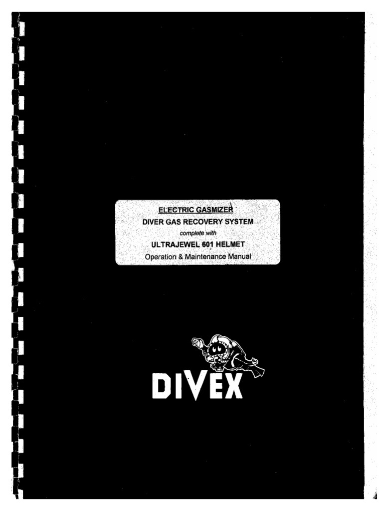 Divex Electric Gasmizer | PDF