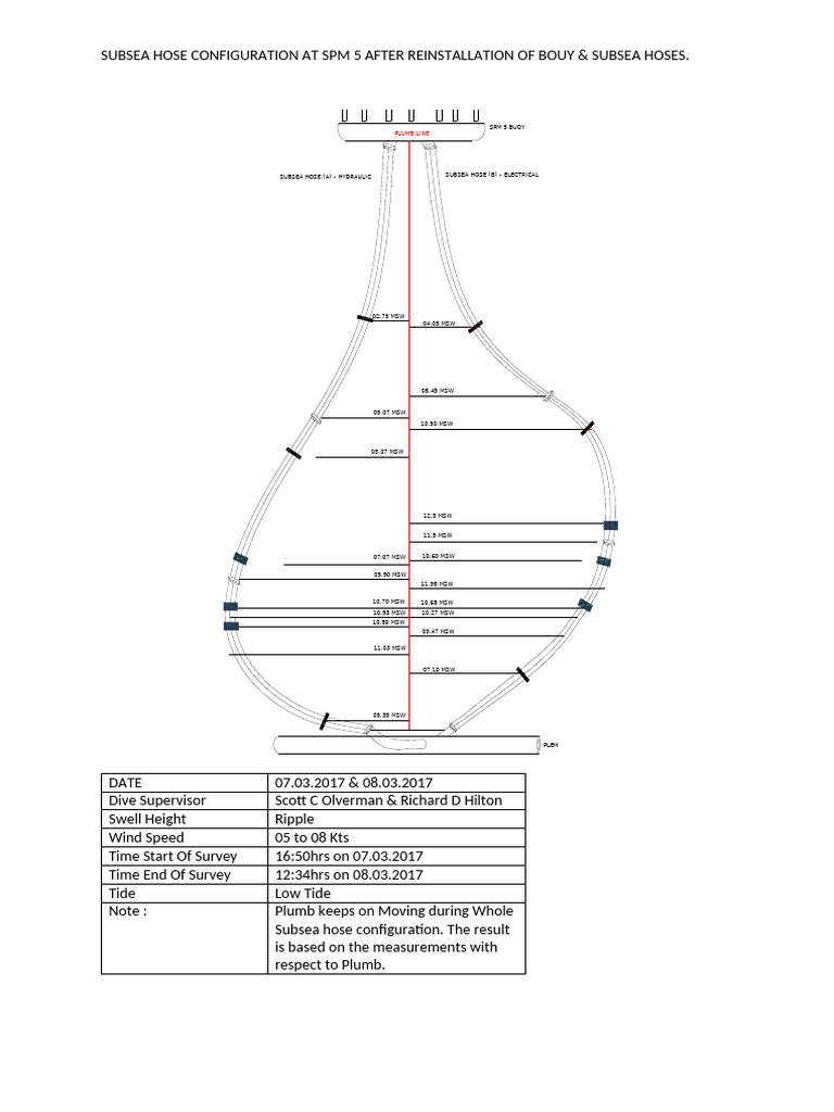 Subsea Hose Orientation | PDF