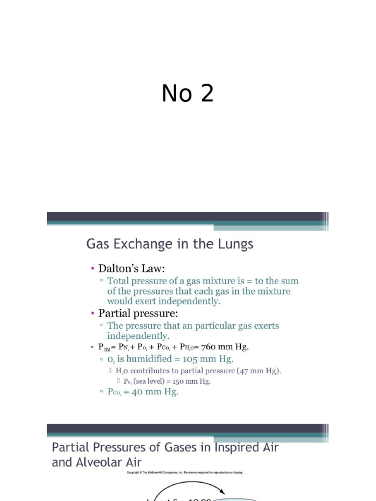 No 2 Gas Exchange | PDF