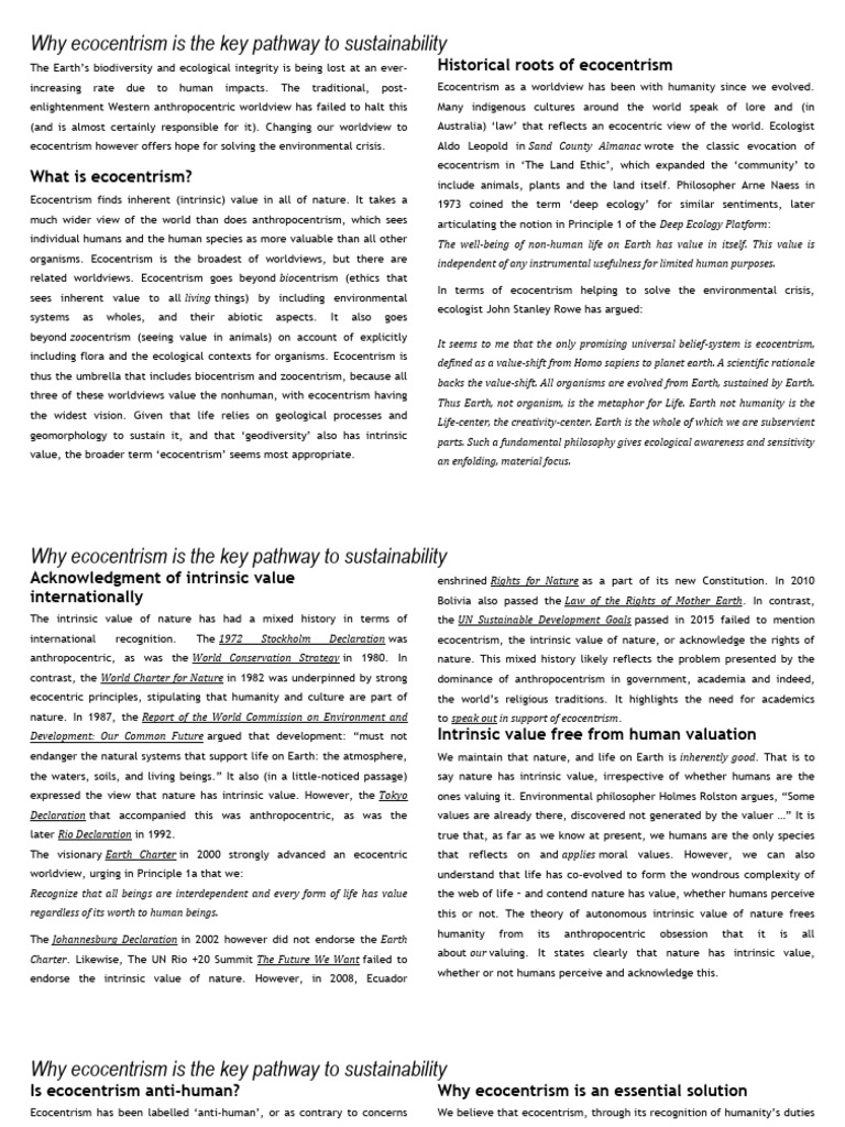 hy-ecocentrism-is-the-key-pathway-to-sustainability-Copy | PDF
