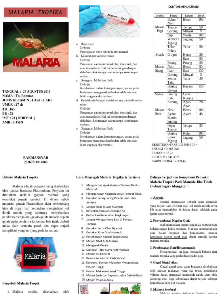 Leaflet Malaria Tropika | PDF