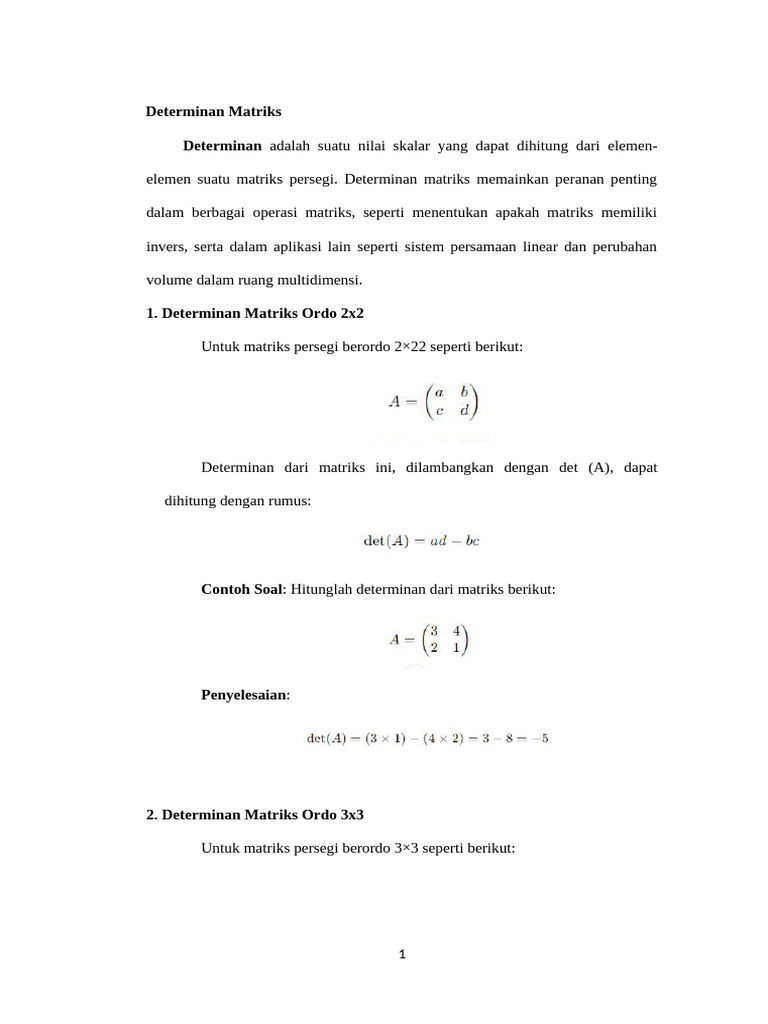 Determinan Matriks & iNVERS | PDF