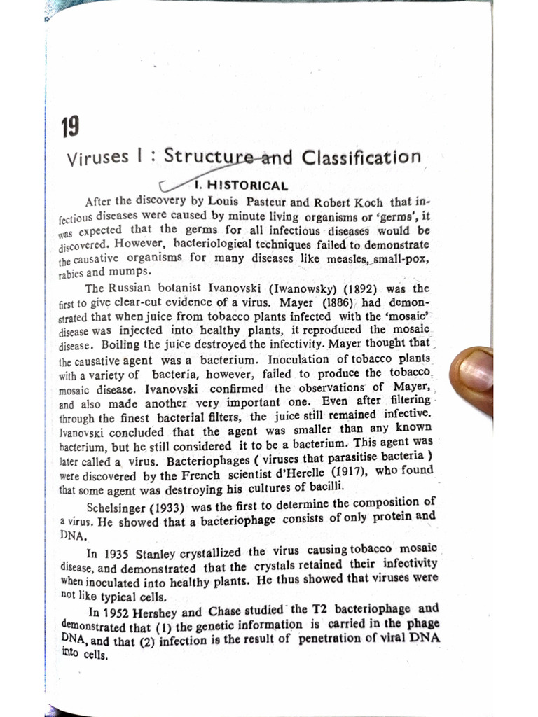 Viruses And Bacteriophages Pdf