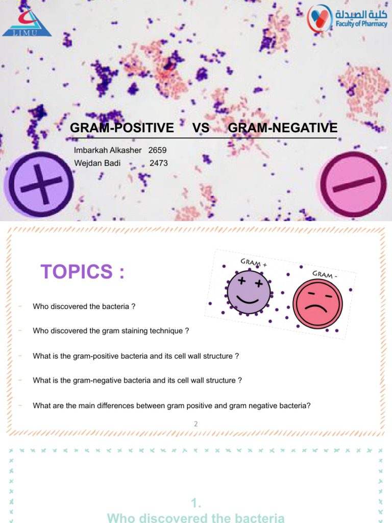Gram +ve and - Ve | PDF