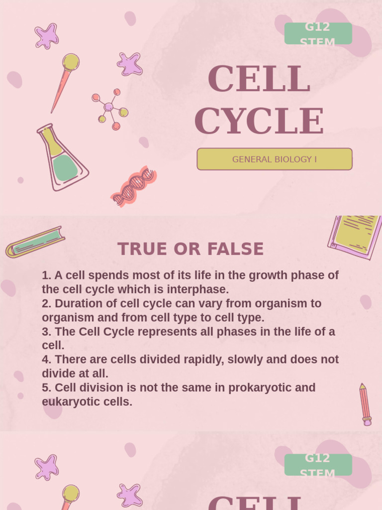 Lesson 5 Cell Cycle | PDF