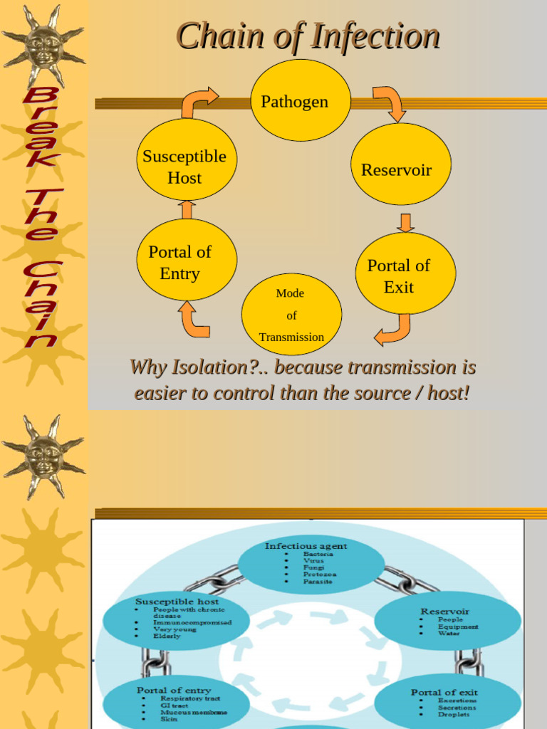 Infection Control - SLP | PDF