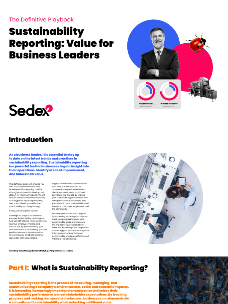 Sedex Ebook - Sustainability Reporting | PDF
