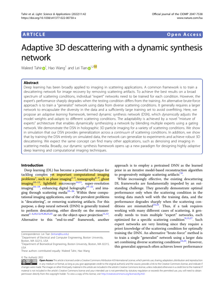 Adaptive 3D Descattering With A Dynamic Synthesis Network: Article Openaccess | PDF