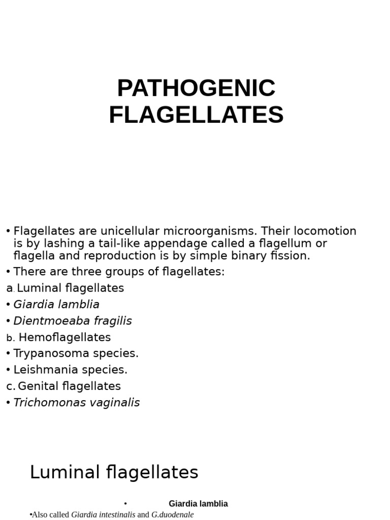 Pathogenic Flagellates | PDF | Microbiology | Clinical Medicine